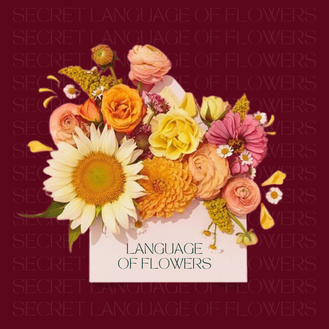 The Ultimate Guide to Flower Meanings and Symbolism – KKOCH