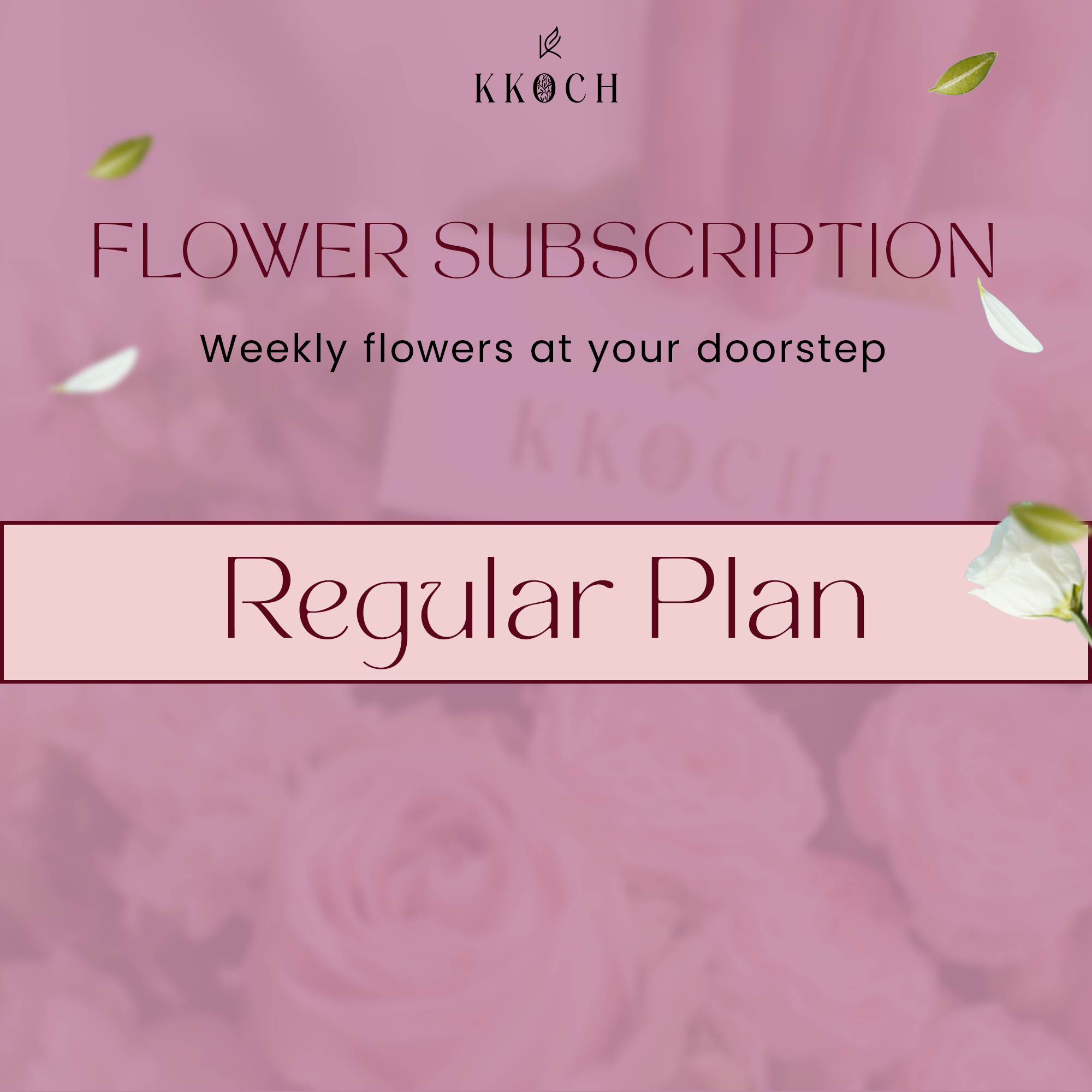 Regular Plan – KKOCH